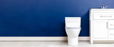 Alpha Bidet | Advancing Modern Hygiene